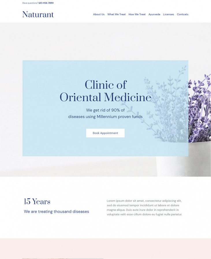 25+ Best Elementor Templates for Your WordPress Website 2021 - MotoPress