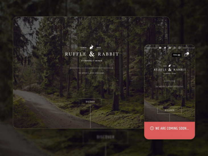 20+ Best Coming Soon Wordpress Themes in 2023 (Free & Paid) - MotoPress