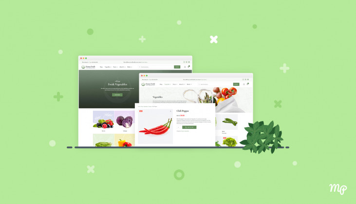11+ Best Grocery Store Wordpress Themes (2023) - MotoPress