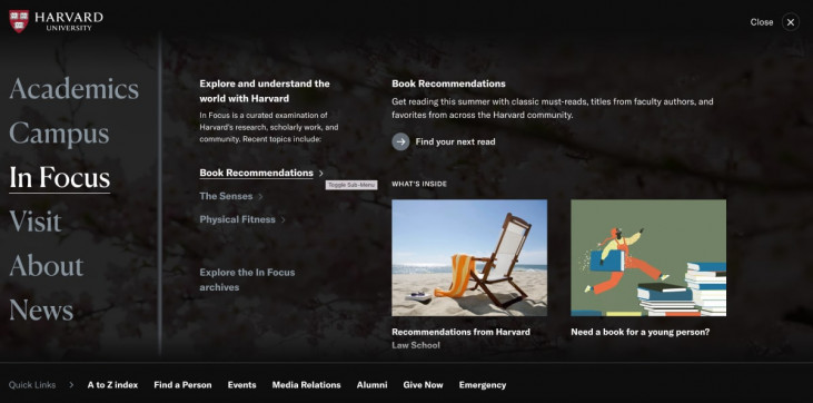 25 Best WordPress Mega Menu Examples - MotoPress