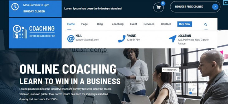 Coaching WordPress Themes Compared (Free & Premium) - MotoPress