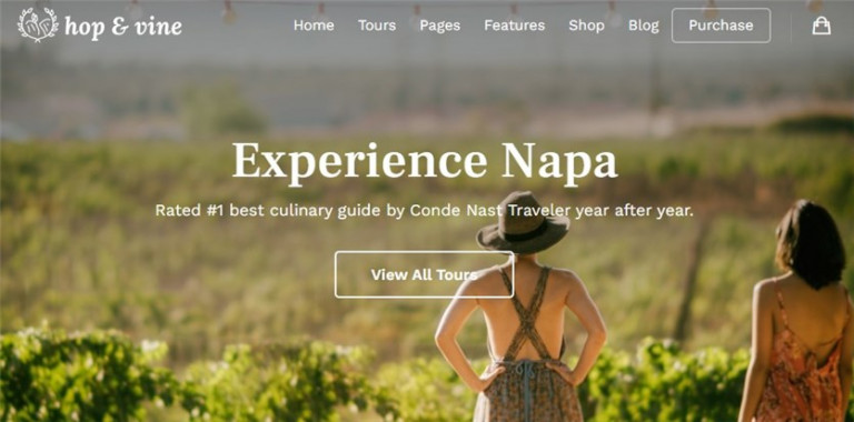 Travel WordPress Themes for Travel Agencies (Premium) - MotoPress