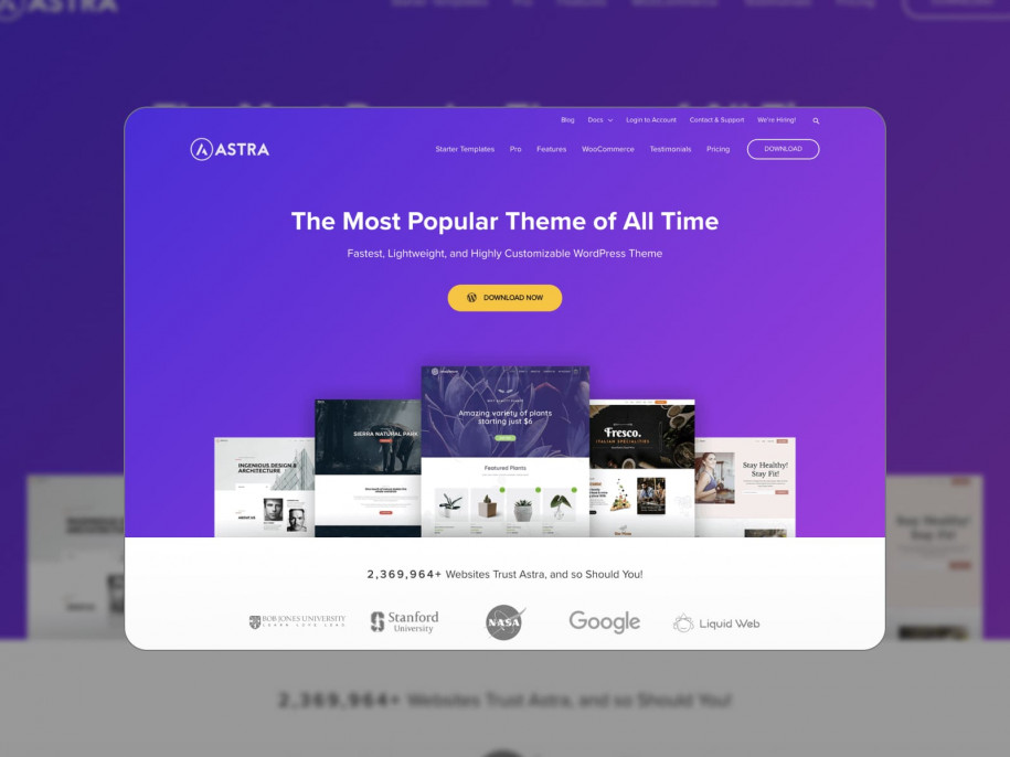 30+ Best WordPress Themes for Personal Website 2024 - MotoPress