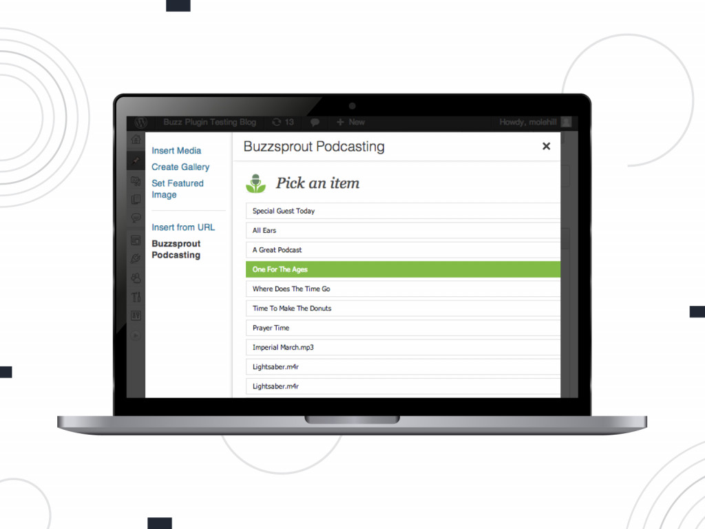 10 Best WordPress Podcast Plugins in 2024: Free & Premium (Rated) - MotoPress