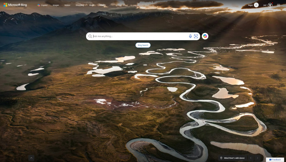 Top 10 Search Engines for Your Browsers and Devices - MotoPress