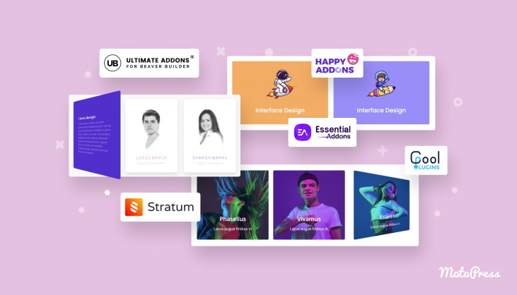 Top 14 WordPress Flip Box Plugins for Your Website - MotoPress